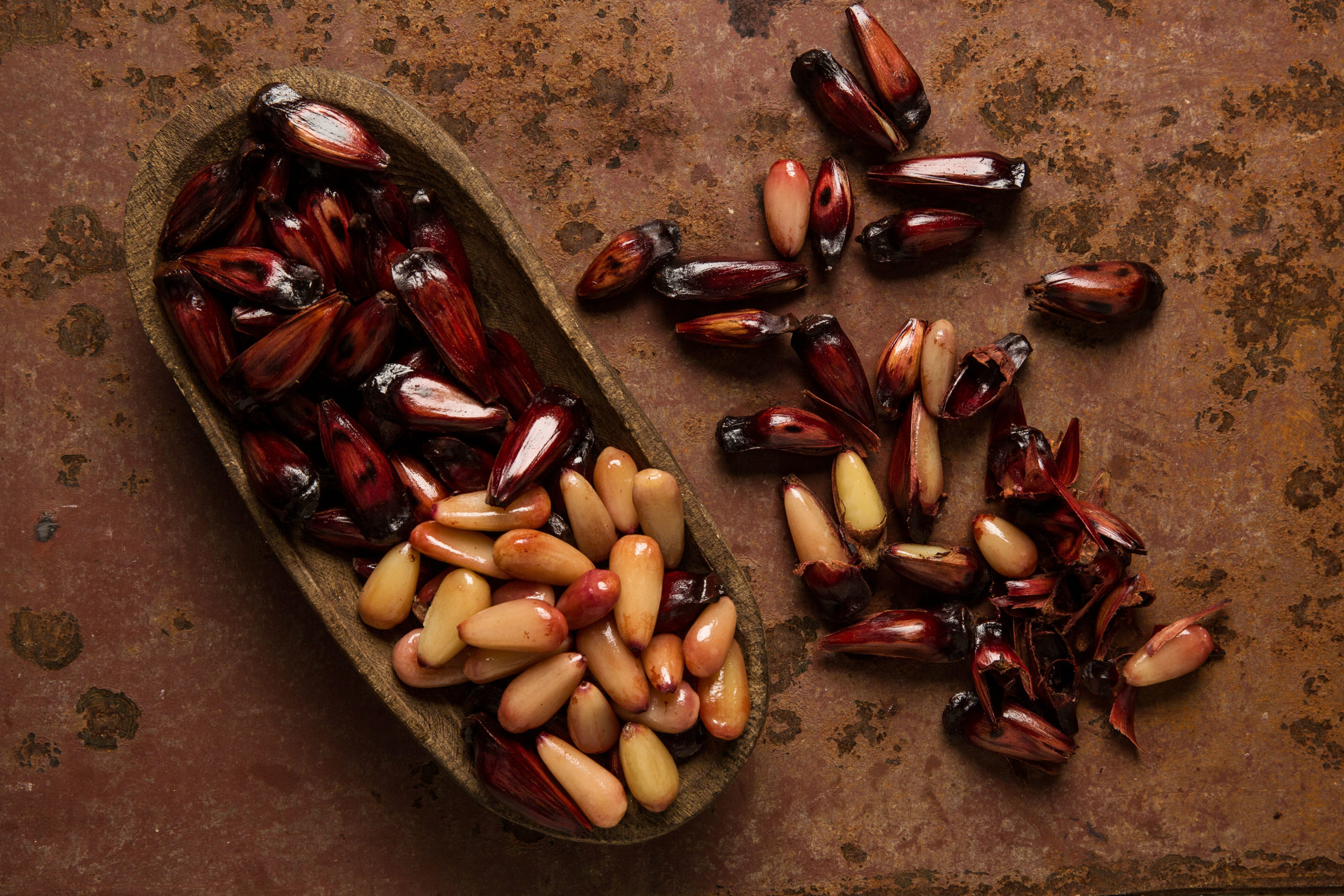 Pinhão - Instituto Brasil a Gosto